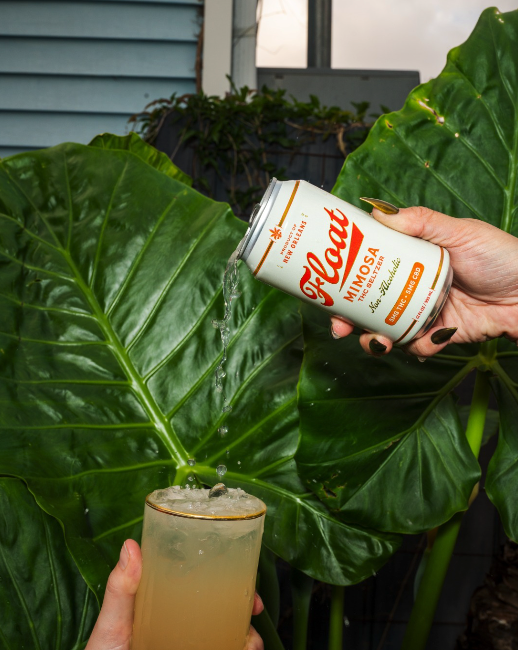 GETTIN FIZZY WITH IT - GoTidbits